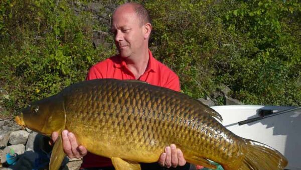 نمونه سوال آزمون دولینگو + جواب تشریحی و رایگان